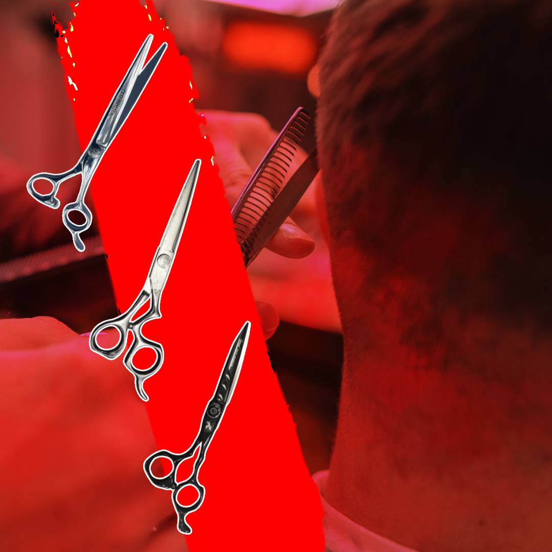 Professional Hairdressing Scissors | Hair Cutting Scissors - Zen Master ...